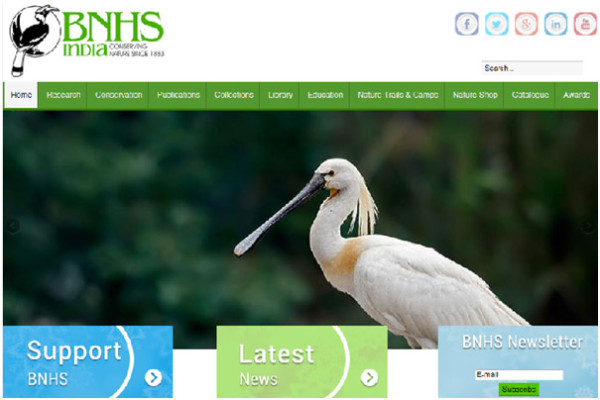 Top wildlife websites in India - Trendingtop5.com