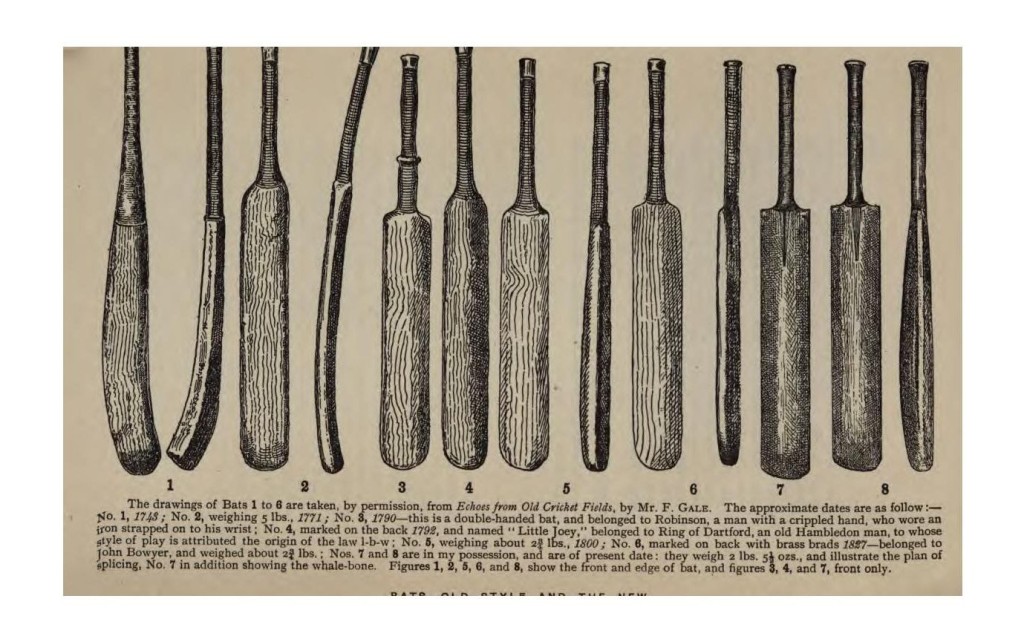 Best bats in the world | Trendingtop5